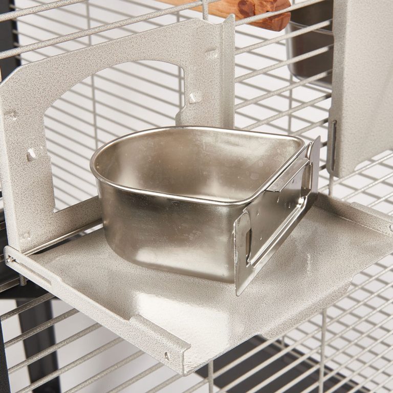 Parrot Bird Cages for Sale Archives - Exotic Global Parrots Farm
